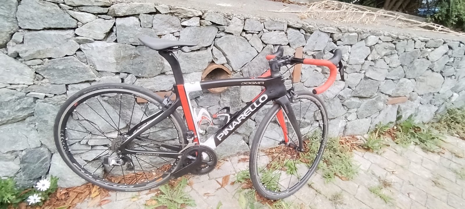 Pinarello dogma f8 | BDC MAG