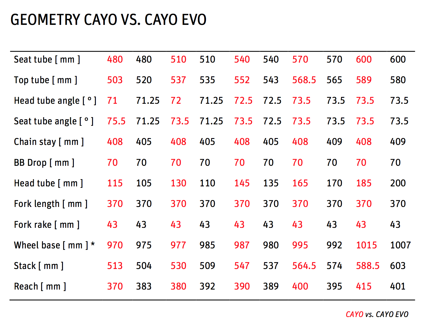 Nuova Focus Cayo | BDC Mag